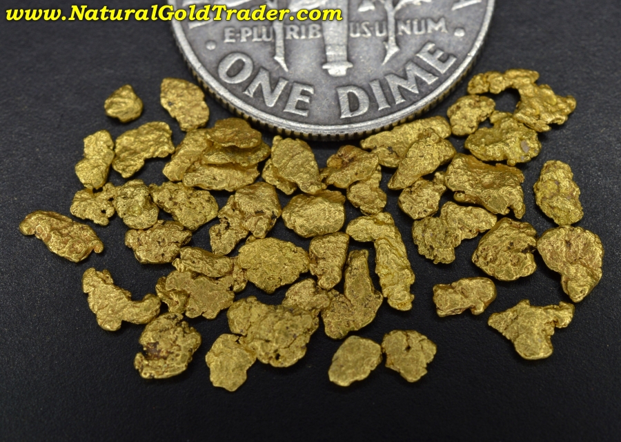 1.75 Grams of Alaska Placer Gold Pickers