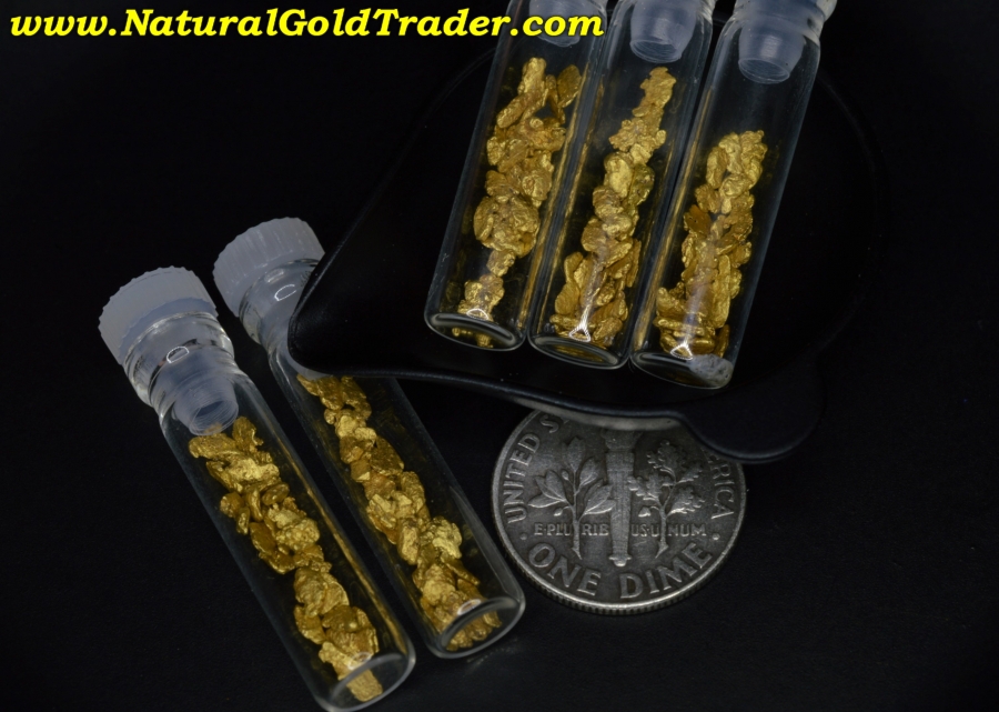 1.0 Gram Alaska Gold Pickers in Vial