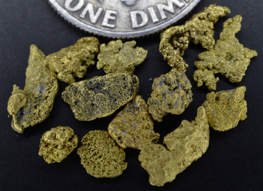 1.66 Grams of Montana Gold Pickers