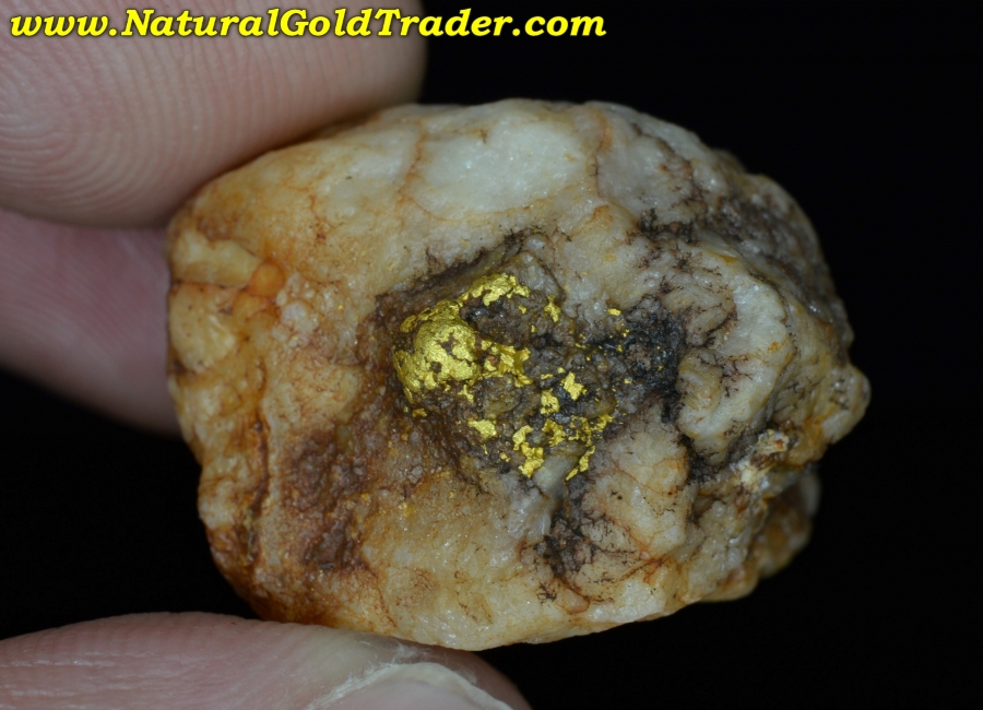14.26 Gram Western Australia Gold & Quartz