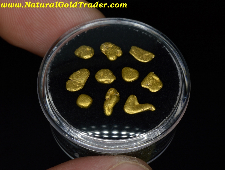 1.79 Grams (10) BC Canada Gold Nuggets