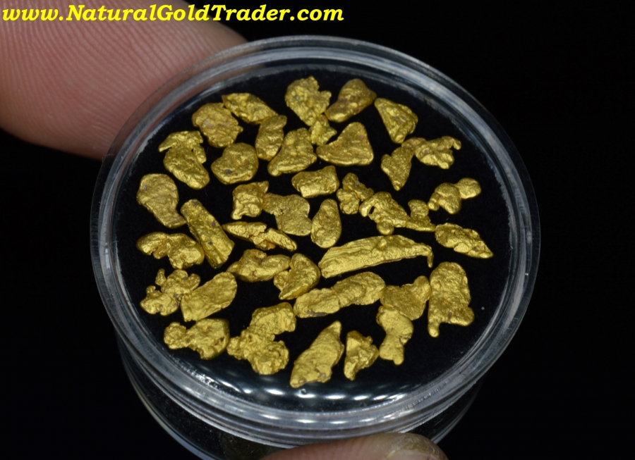 4.93 Grams (36) Eastern Oregon Gold Nuggets