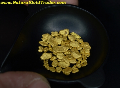 3.54 Gms Feather River California Gold Pickers