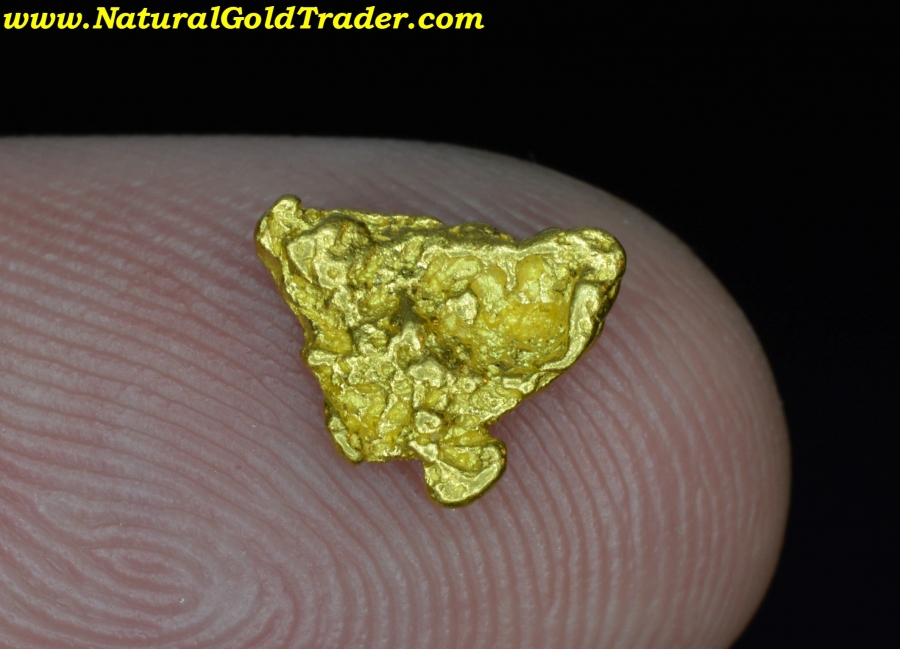 .60 Gram Victorian Australia Gold Nugget