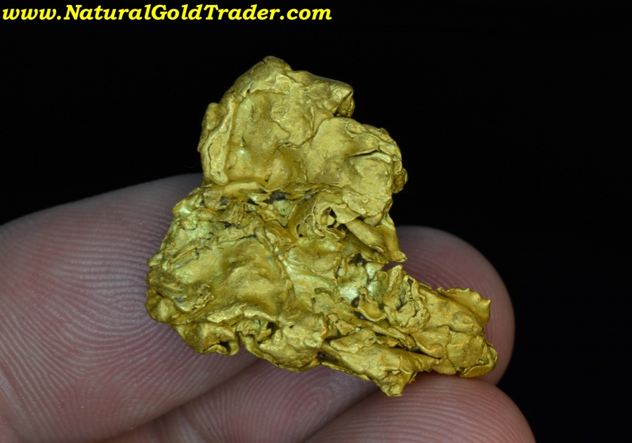 8.09 Gram Folded Foil Oregon Gold Nugget