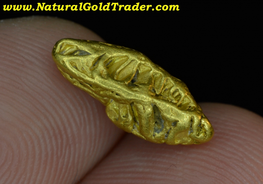 2.18 Gram Rye-Patch Nevada Gold Nugget Specimen