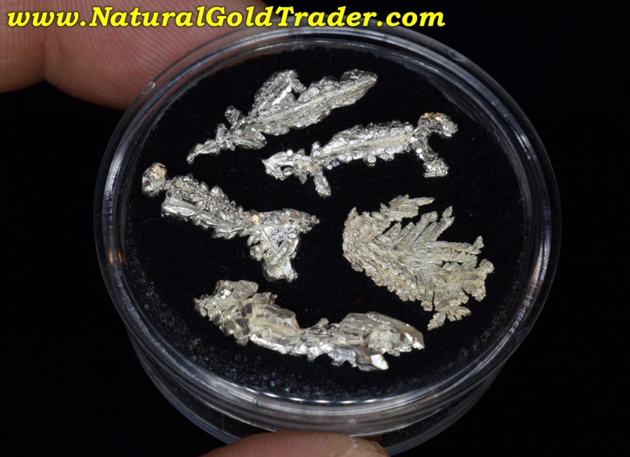 5.28 G. (5) Lab Grown .999 Pure Silver Crystals
