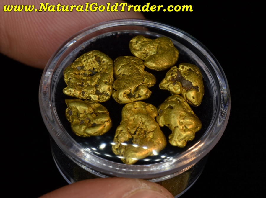 10.18 Grams (7) Natural Alaskan Placer Gold Nuggets