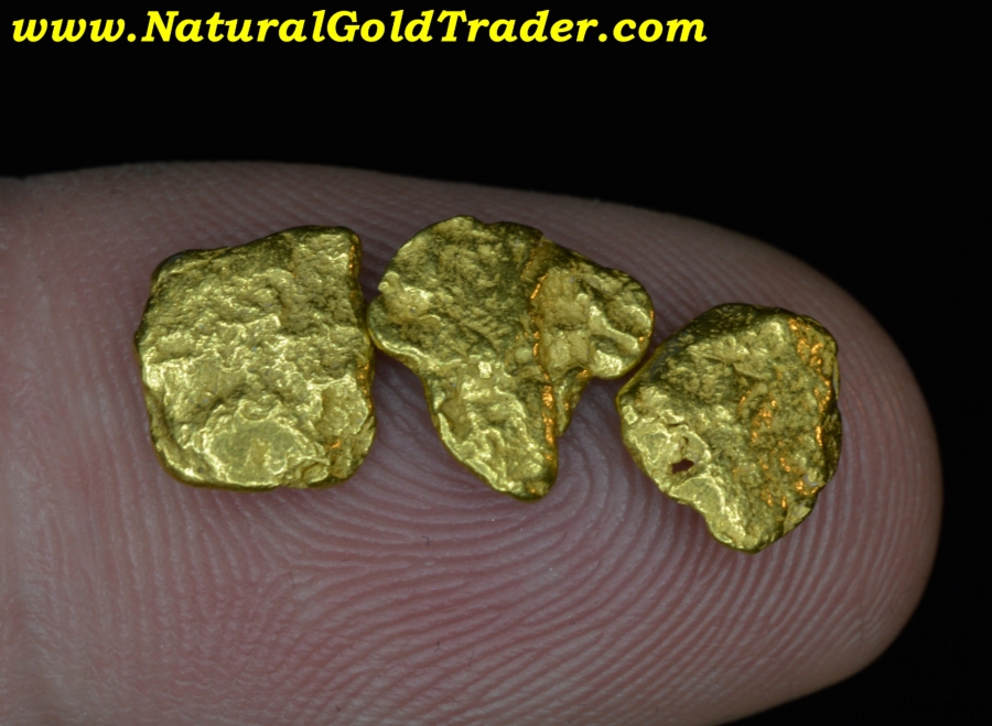 2.90 Grams (3) Yuba River California Gold Nuggets