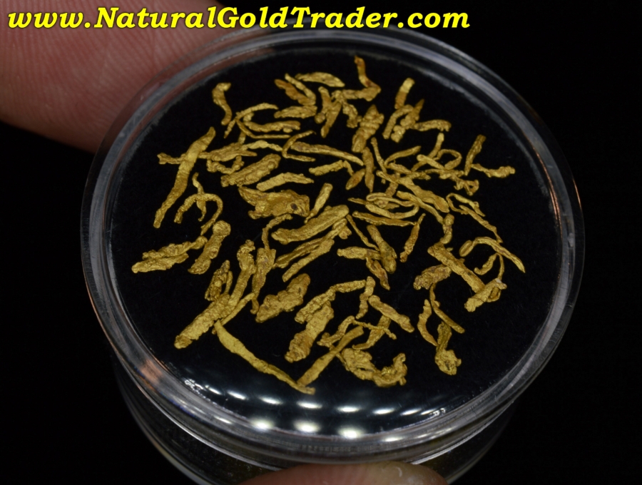 1.35 Grams of Helena Montana Wire Gold
