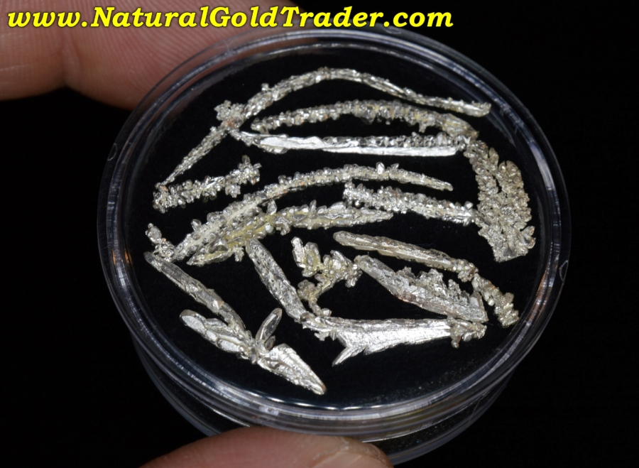 5.33 G. (12) Lab Grown .999 Pure Silver Crystals