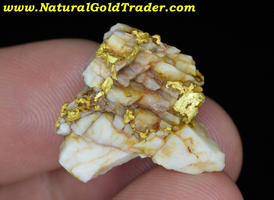 7.74 Gram Latrobe California Gold & Quartz Specimen