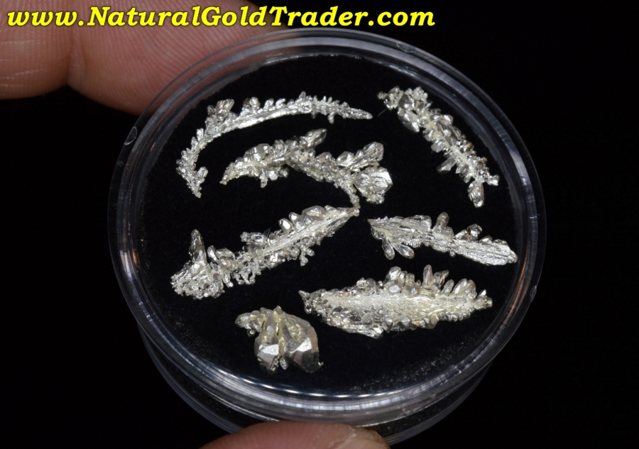 5.57 G. (7) Lab Grown .999 Pure Silver Crystals