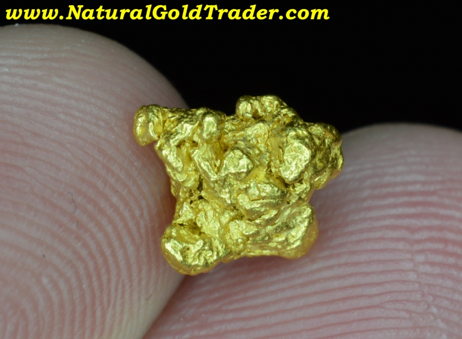 1.68 Gram Eastern Australia Pure Gold Nugget