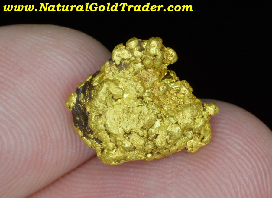 4.81 Gram Northern Nevada Natural Gold Nugget