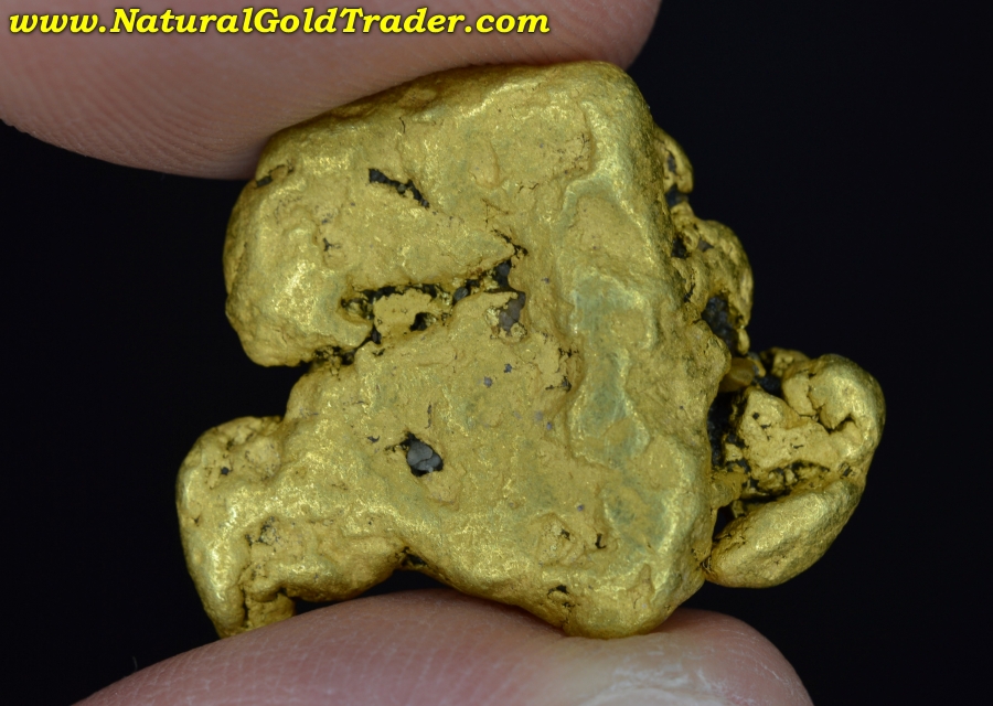 32.0 Gram British Columbia Canada Nugget