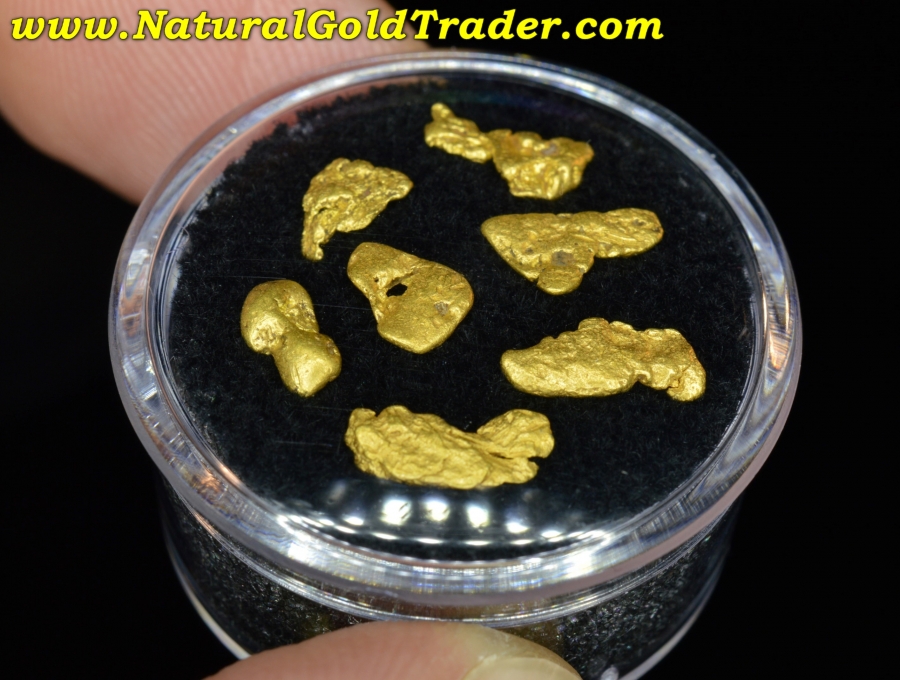 1.97 Grams (7) American River California Placer Gold Nuggets