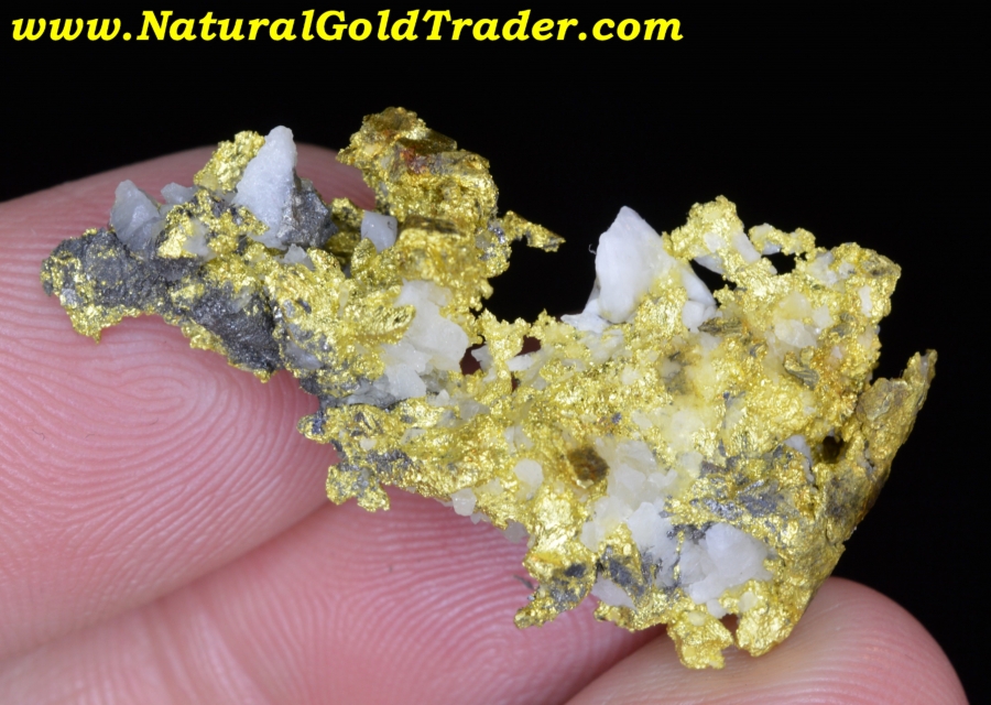 19.15 Gram 16 to 1 Mine California Gold Specimen
