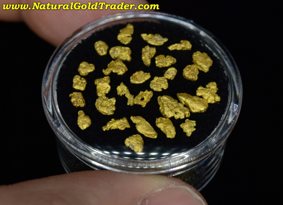 1.87 Grams of Alaska Gold Pickers/Nuggets