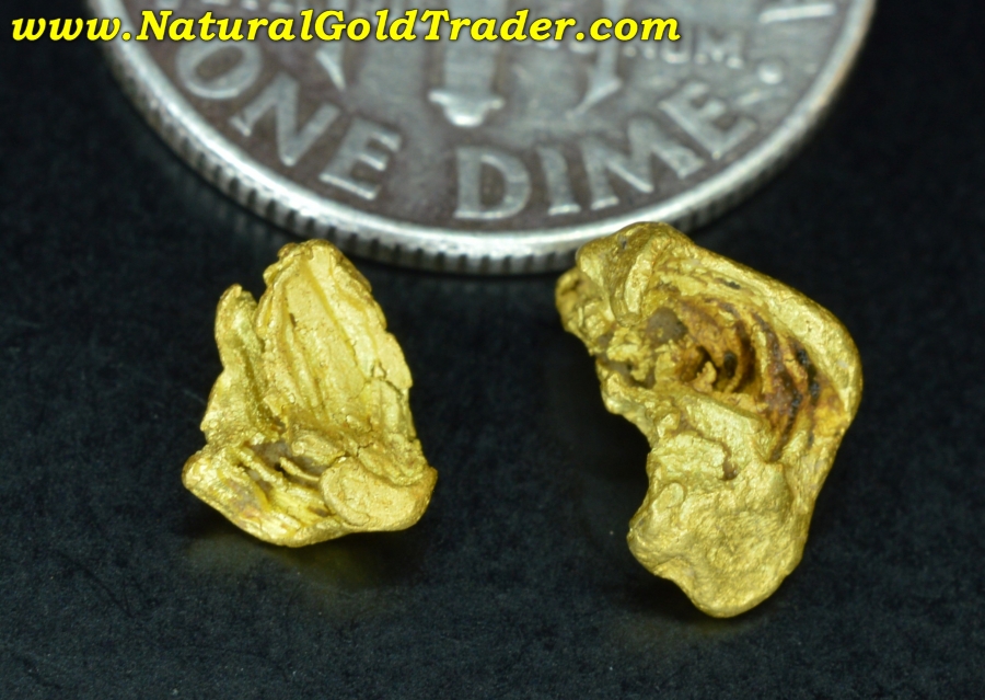 1.14 Gram Majuba Placers Nevada Gold Nugget Specimens