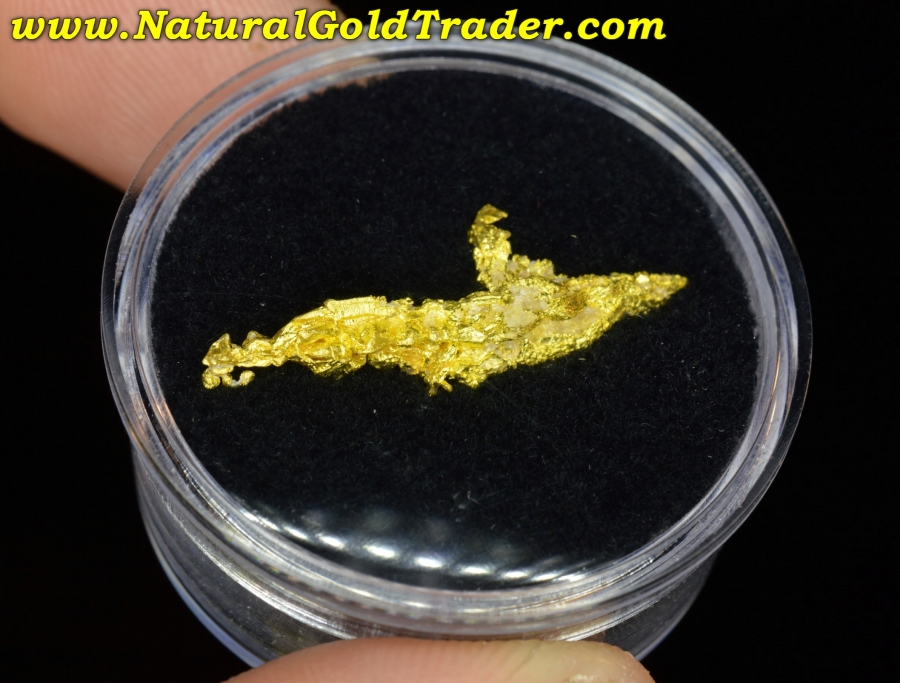 1.90 Gram Western Sahara Morocco Africa Crystallized Gold Specimen