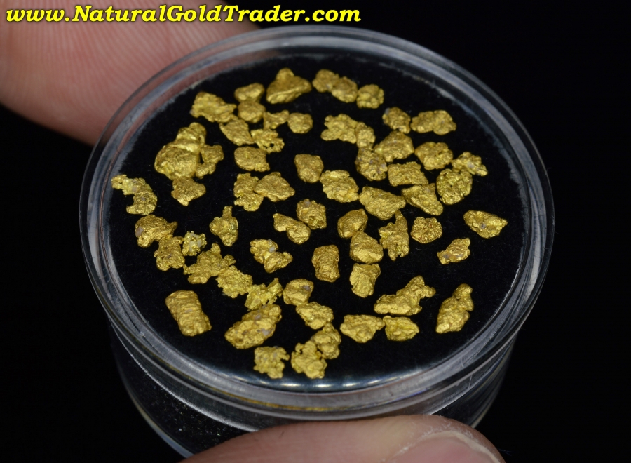 3.51 Grams of Alaska Gold Pickers/Nuggets