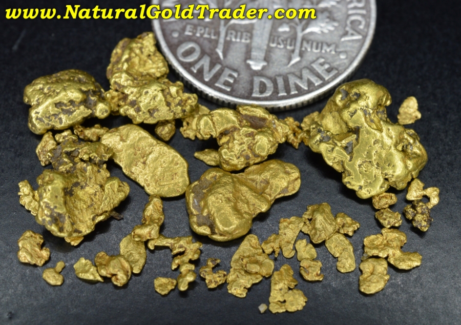 4.38 Grams Zeke Tenhoff Nome Alaska Dredge Gold Nuggets