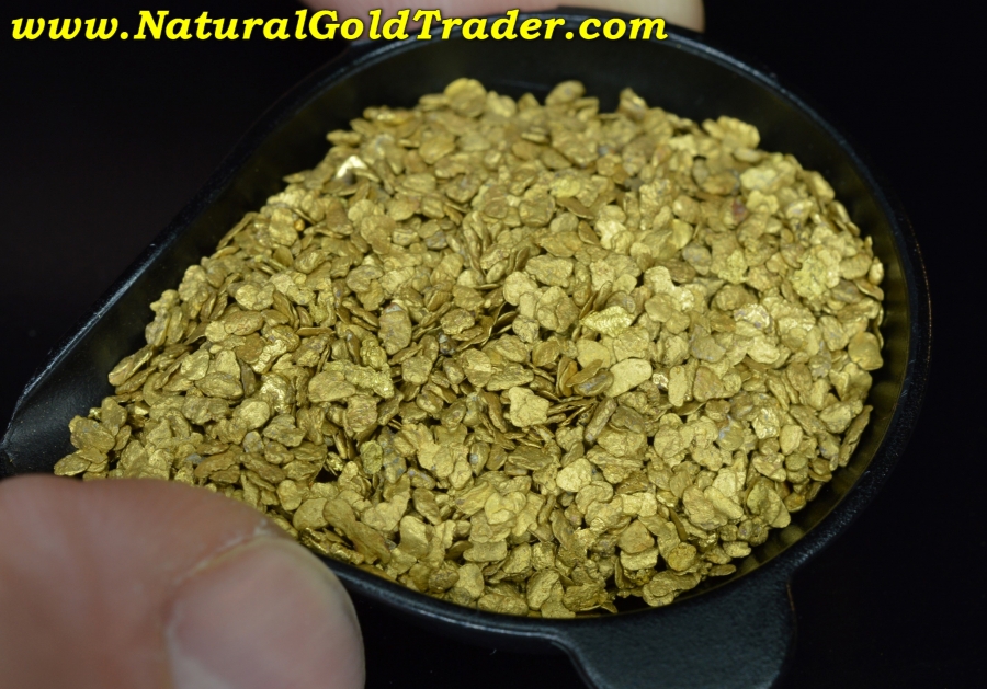 1 ozt. 31.1 Grams Alaska Placer Gold Flake Paydirt Bag