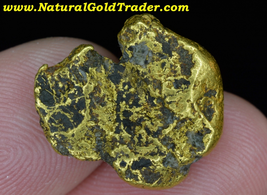 7.87 Gram Fairbanks Alaska Chunky Gold Nugget