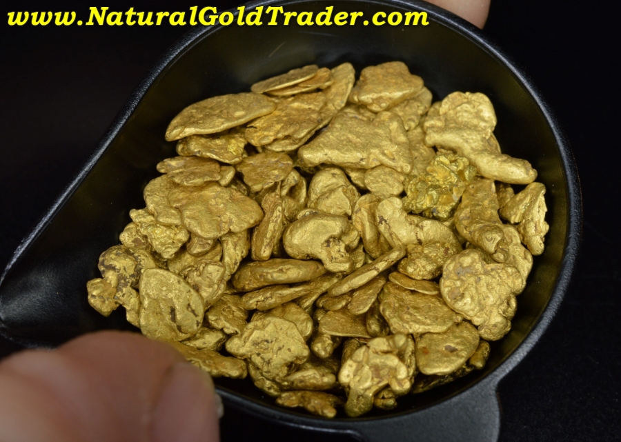 24.00 Grams (100) Natural Oregon Gold Nuggets