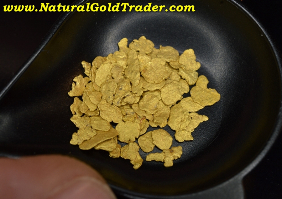 2.55 Grams of Manley Hot Spring Alaska Gold Flakes