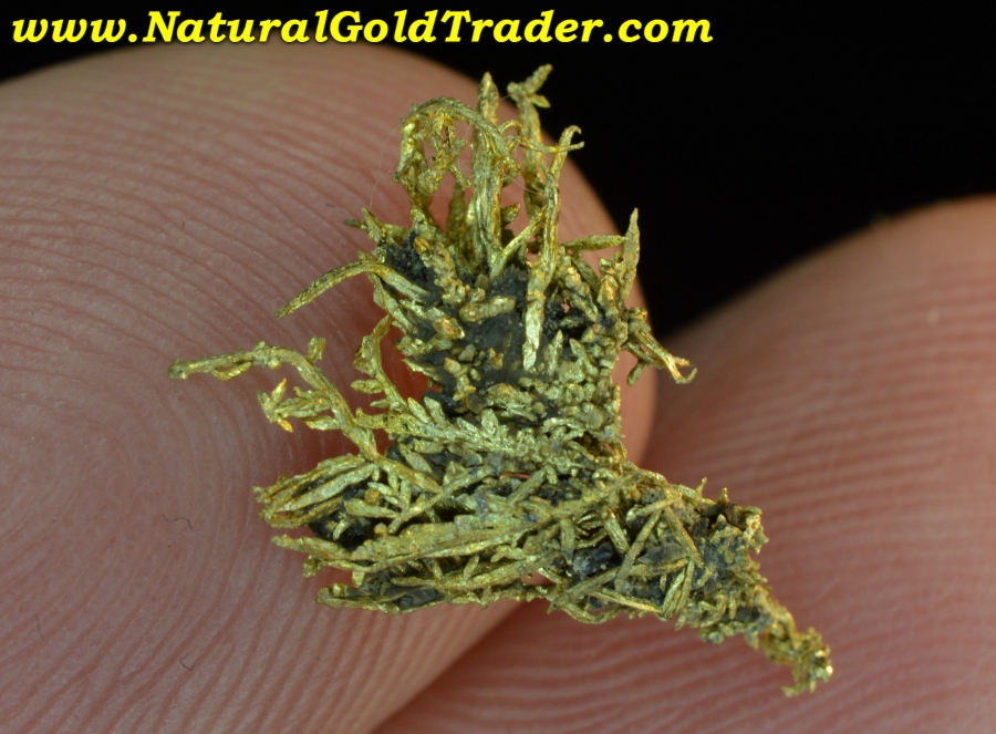 .44 Gram Liberty Washington Crazy Wire-Gold Cluster