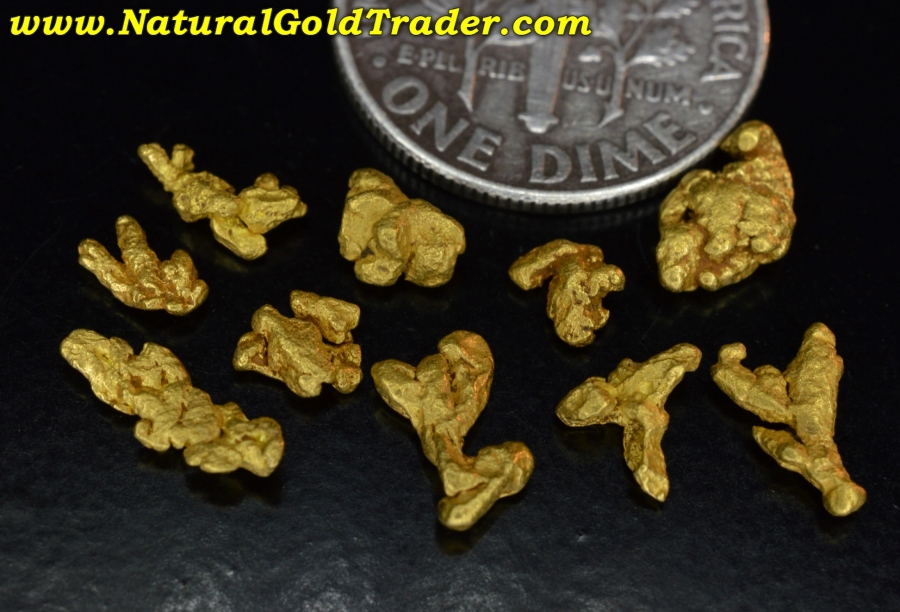 2.87 Grams (10) Montana Character Gold Nuggets