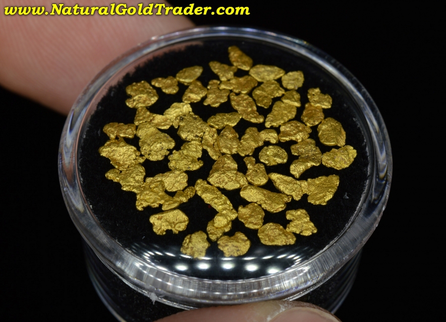 1.75 Grams of Alaska Placer Gold Pickers