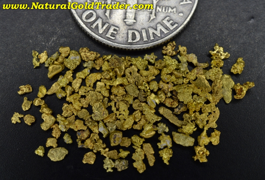 1.37 Grams of Mixed Location Gold Pickers
