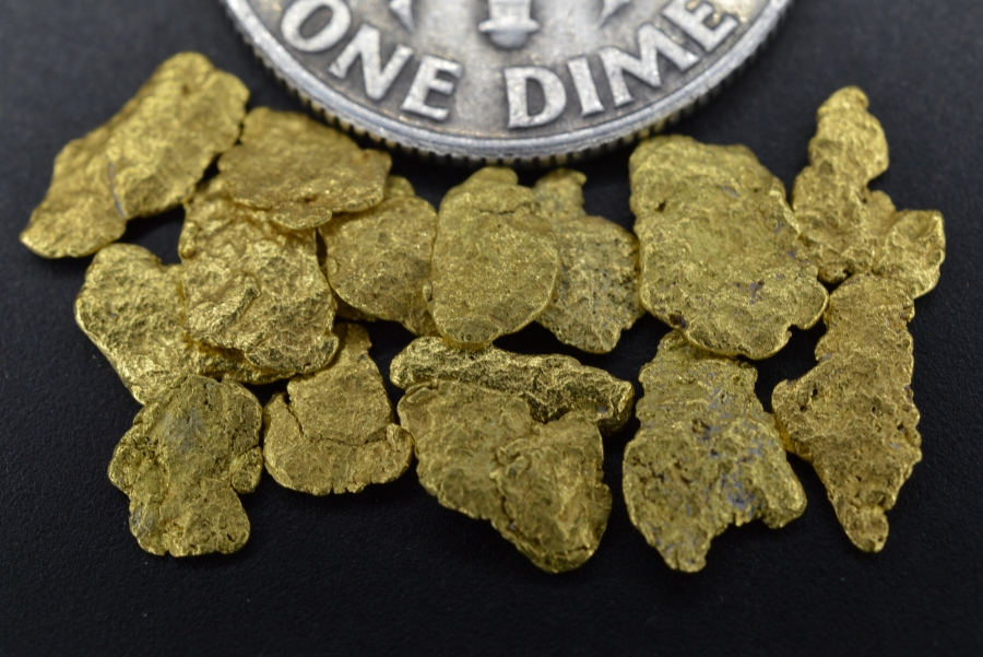 1.63 Grams of Montana Gold Pickers