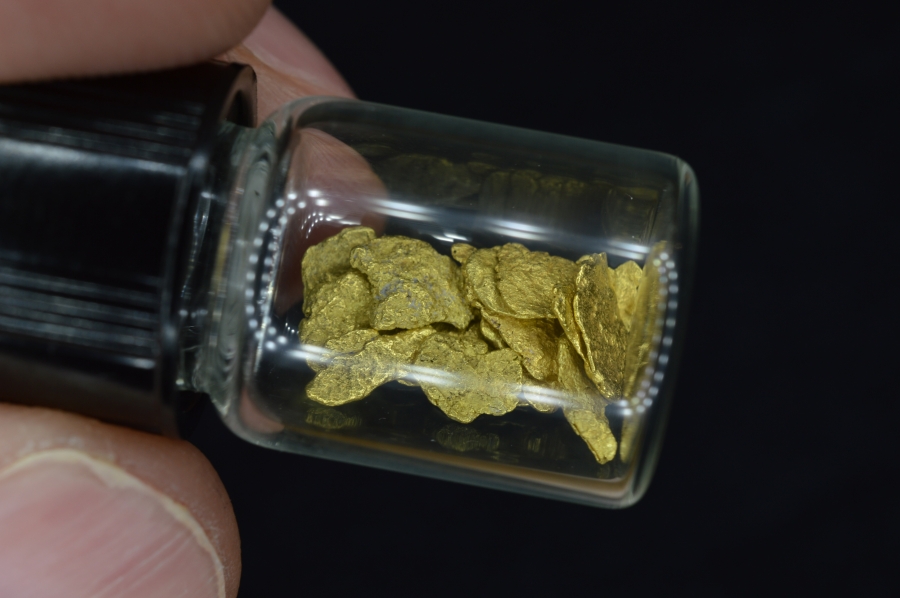1.63 Grams of Montana Gold Pickers