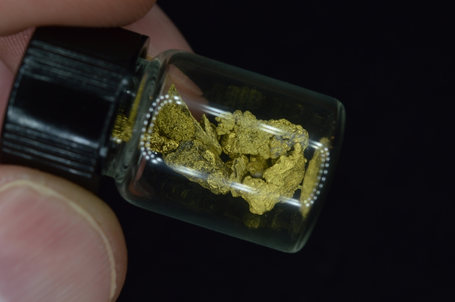 1.66 Grams of Montana Gold Pickers