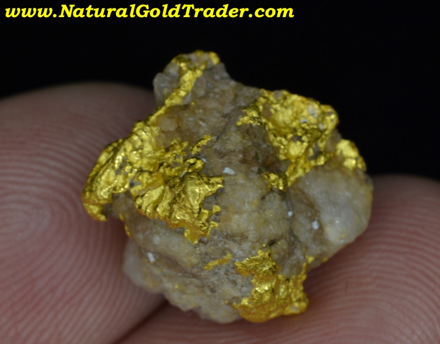 6.69 Gram Western Australia Gold & Quartz