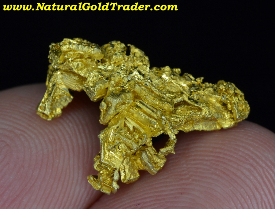 2.65 G. Round Mountain Nevada Gold Specimen