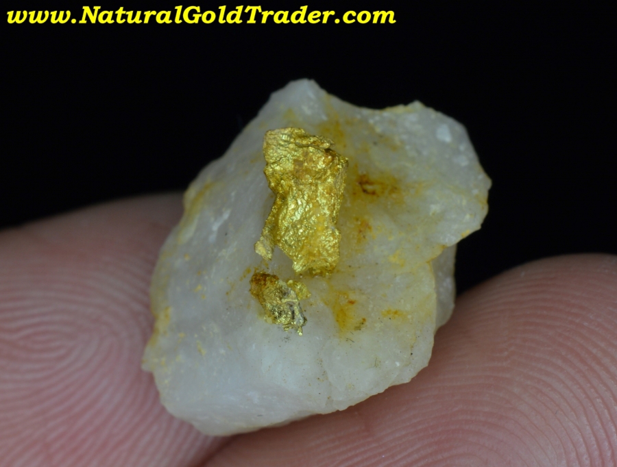 3.22 Gram California Gold & Quartz Specimen