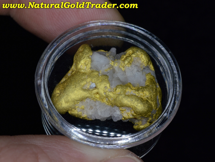 24.12 Gram Gold Cr. Montana Gold & Quartz