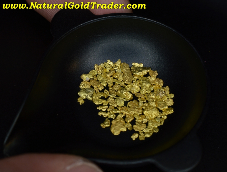 1.5 Grams Vial of Alaska Placer Gold Pickers