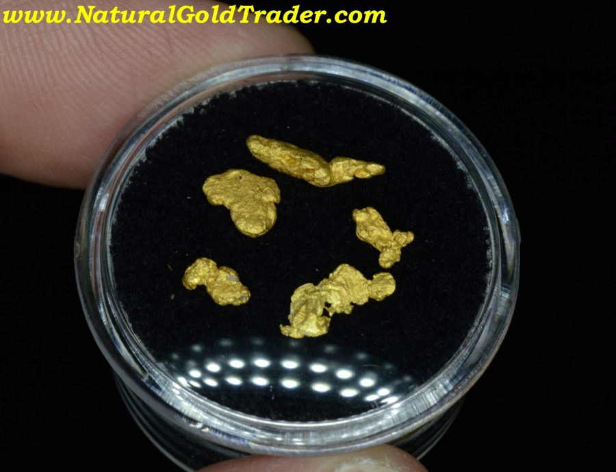 .99 Grams (5) Feather River CA Gold Nuggets