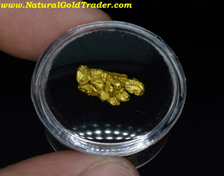 2.95 Gram Rye-Patch Nevada Gold Specimen