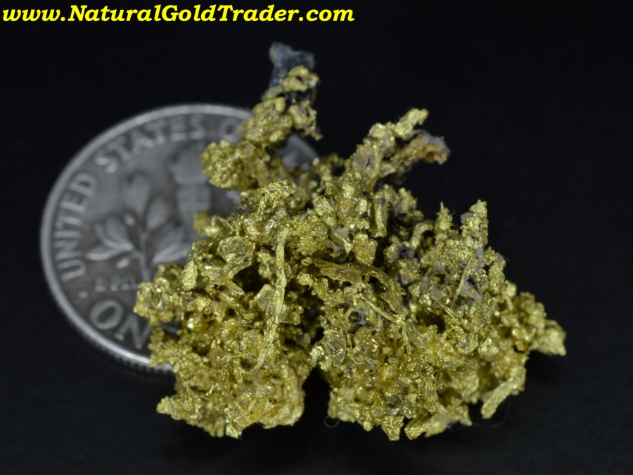 7.88 Gram Belshazzar Mine Idaho Gold Specimen