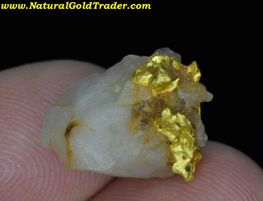 4.53 Gram Western Australia Gold & Quartz