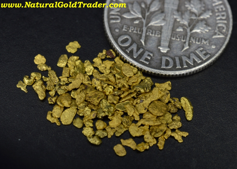 .93 Grams of Little River Tennessee Placer Gold