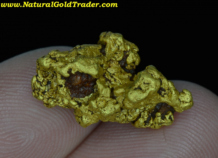 11.30 Gram Eastern Oregon Gold Nugget