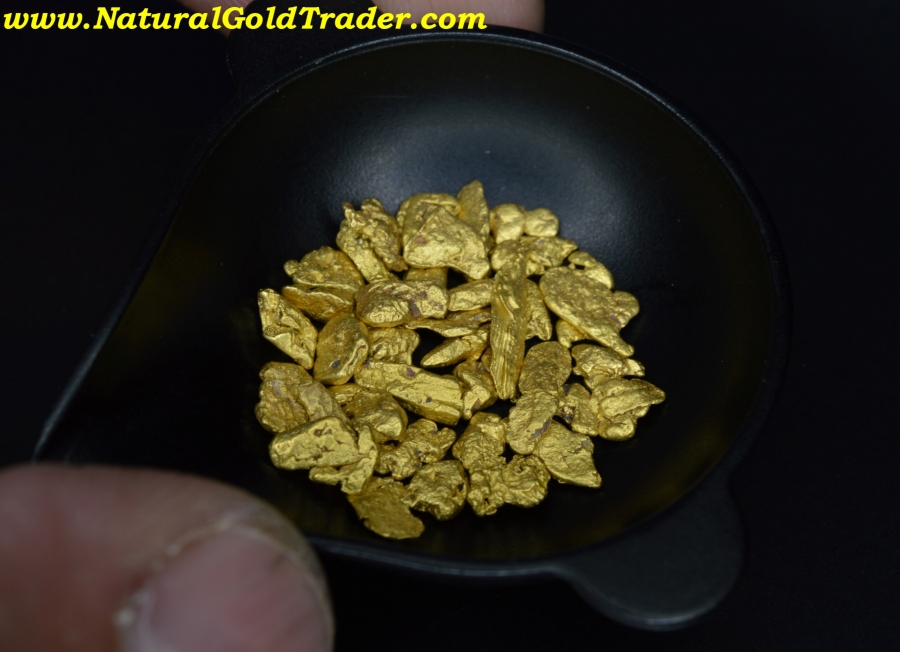4.93 Grams (36) Eastern Oregon Gold Nuggets